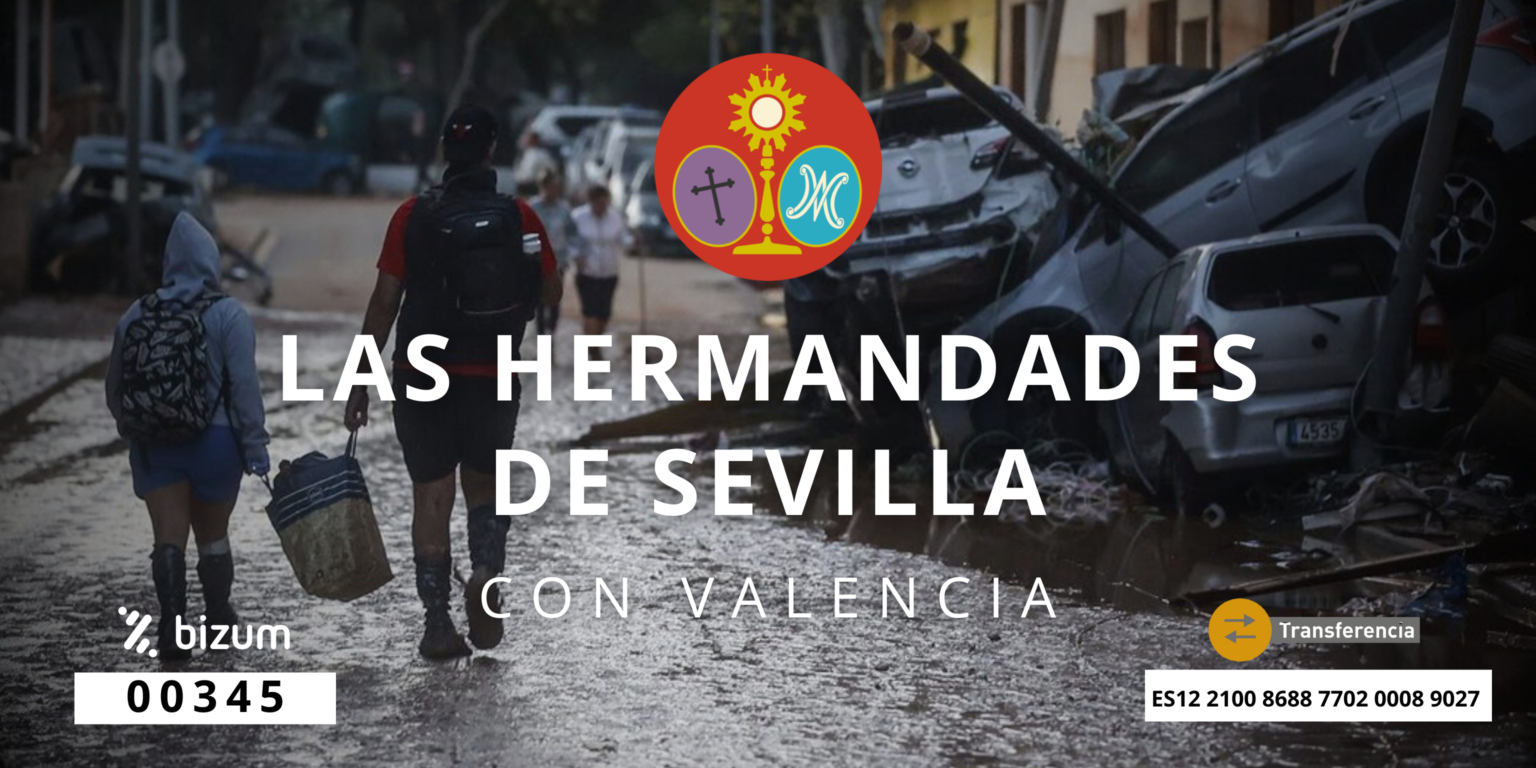 EL CONSEJO DE HERMANDADES LANZA UNA CAMPAÑA SOLIDARIA EN AYUDA A LA ...